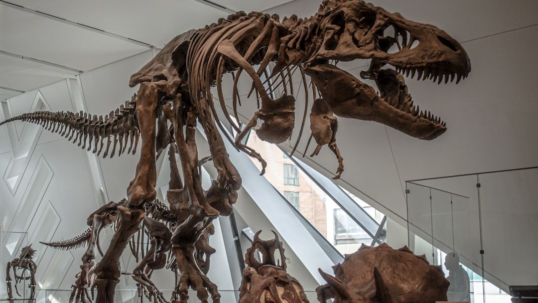 The US States With the Most Dinosaur Fossils – Dino World
