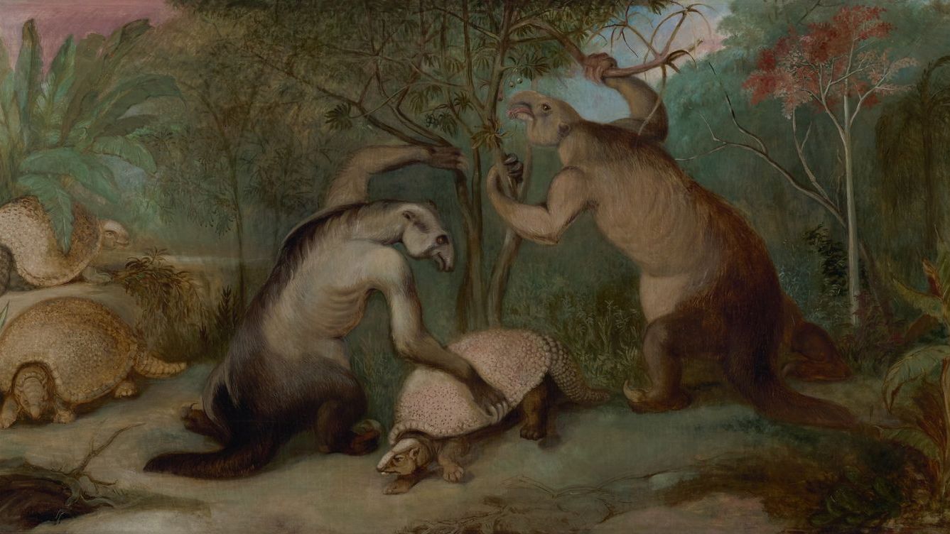 10 Lesser-Known Ice Age Creatures That Roamed Ancient North America ...