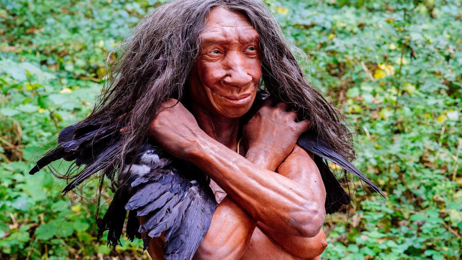 The Neanderthal Legacy: How Their DNA Still Influences Modern Humans ...
