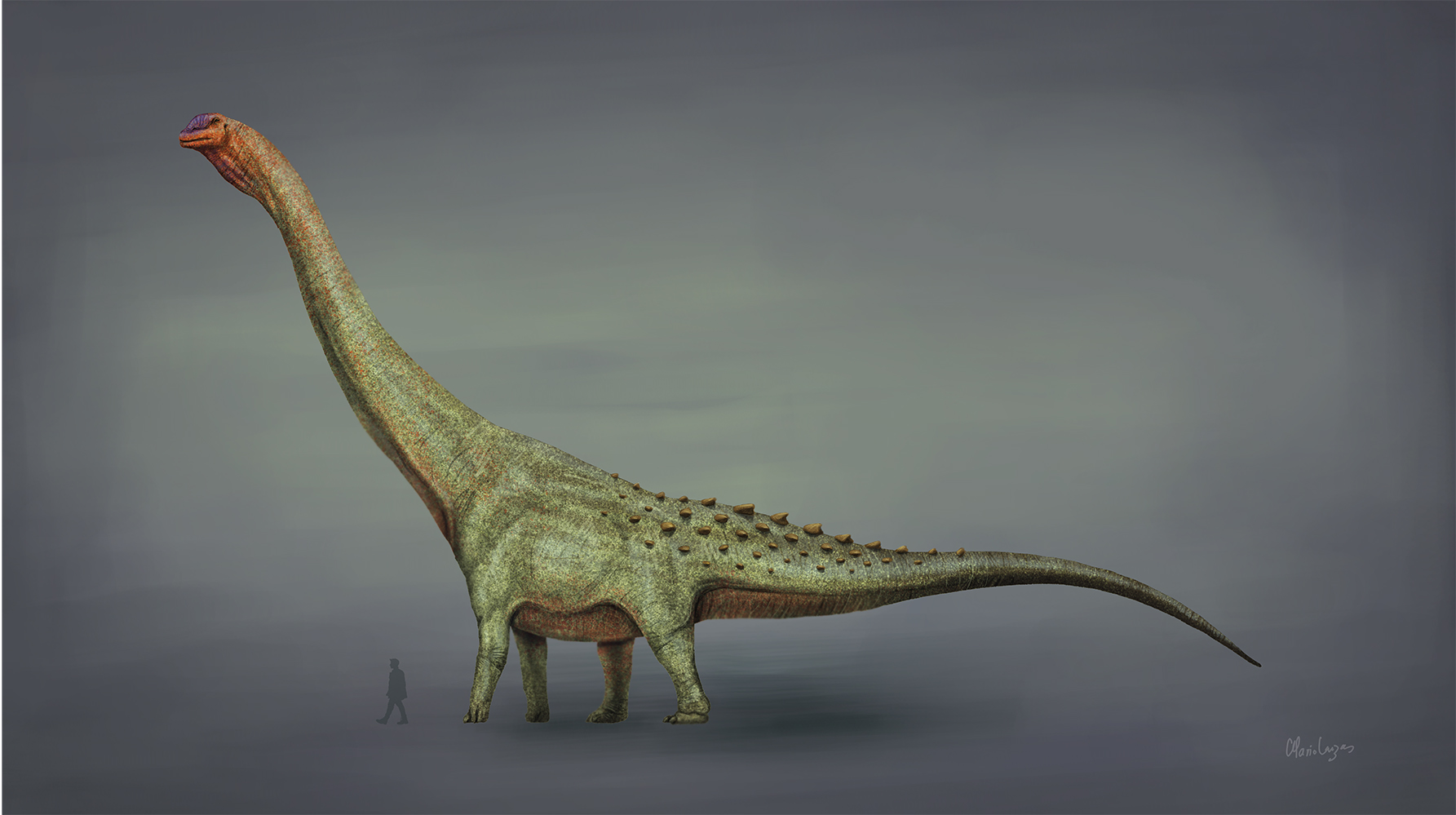 When Giants Walked: The Untold Stories of Earth’s Largest Land Animals ...