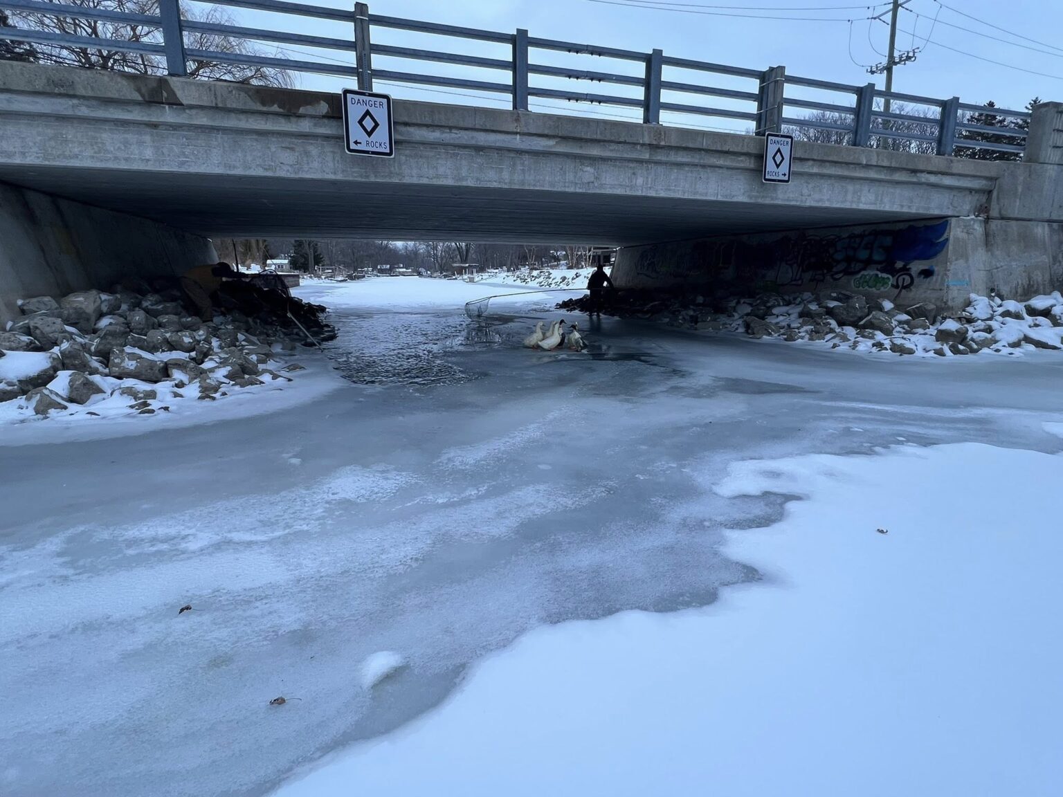 Frigid Michigan Bridge Becomes Sanctuary Lifeline for Six Dumped ...