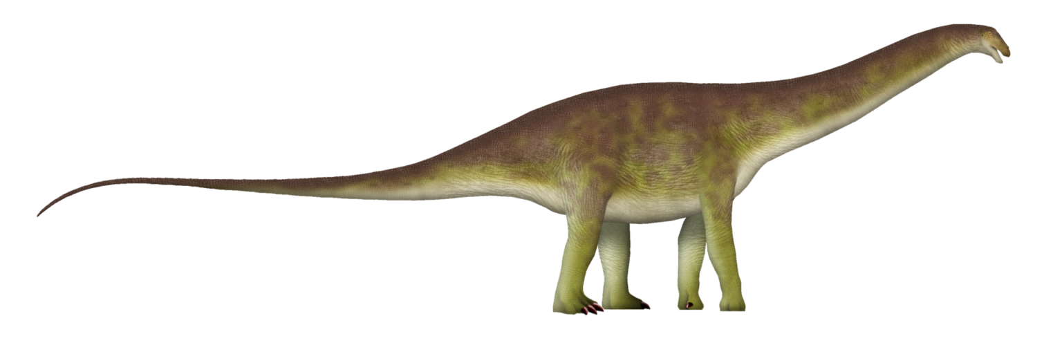 The Real Story of the Brontosaurus: A Dinosaur That Never Really ...