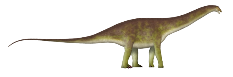 The Real Story of the Brontosaurus: A Dinosaur That Never Really ...