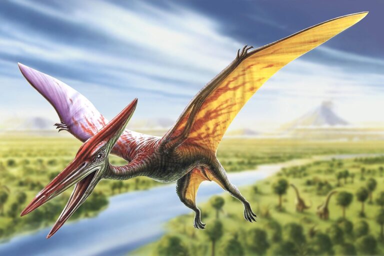 Prehistoric Raptors – Dino World