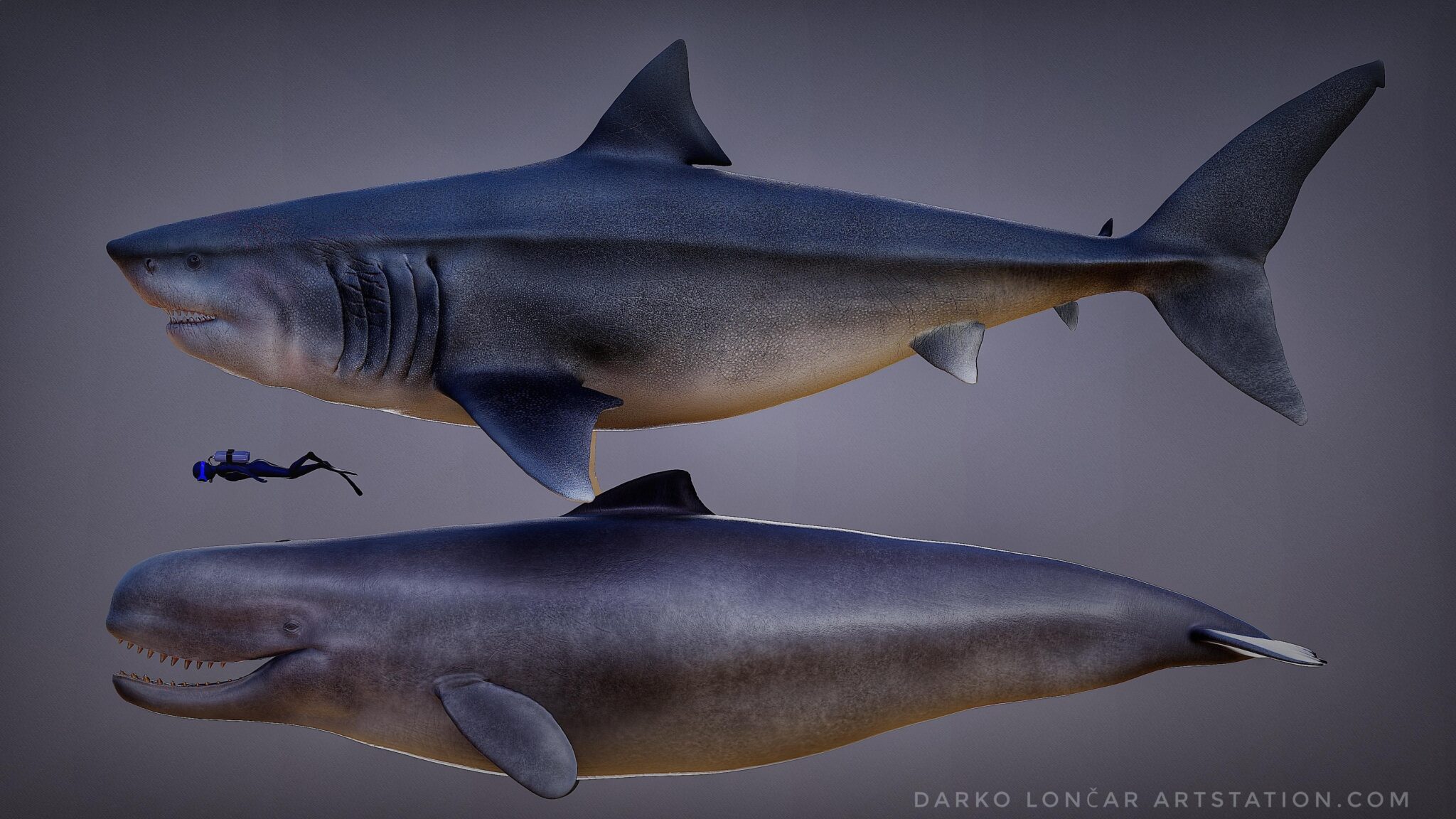 9 Fascinating Facts About the Ancient Megalodon Shark – Dino World