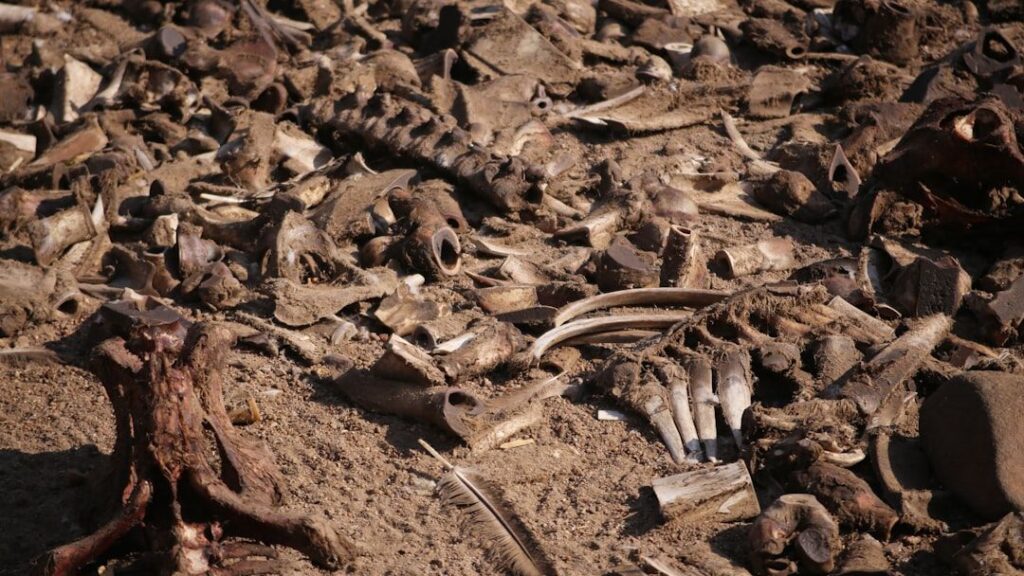 8 Ancient Earth Disasters That Nearly Wiped Out All Life Before Humans ...